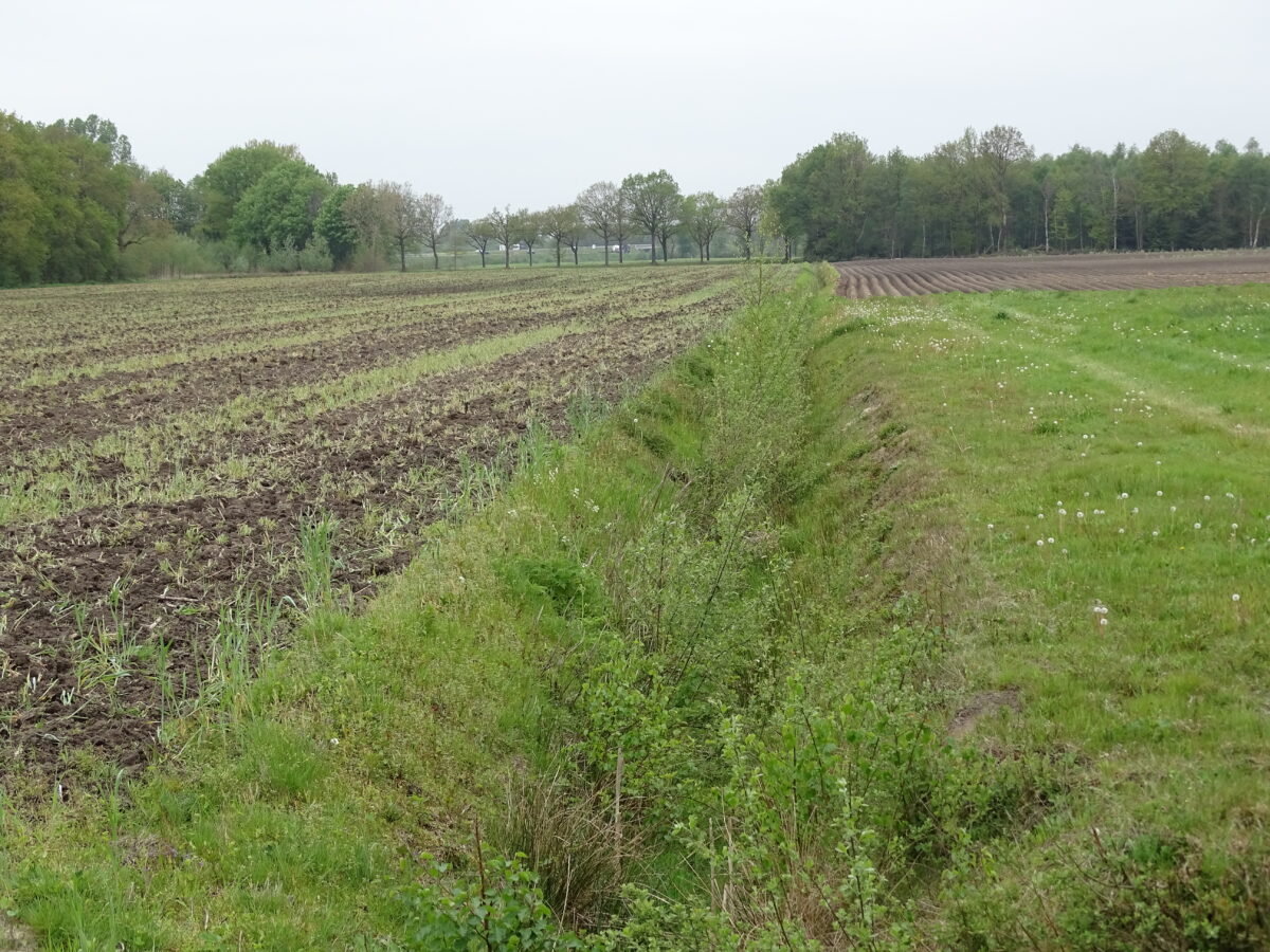 Extra ruimte voor de natuur in Energietuin Assen-Zuid - NMF Drenthe