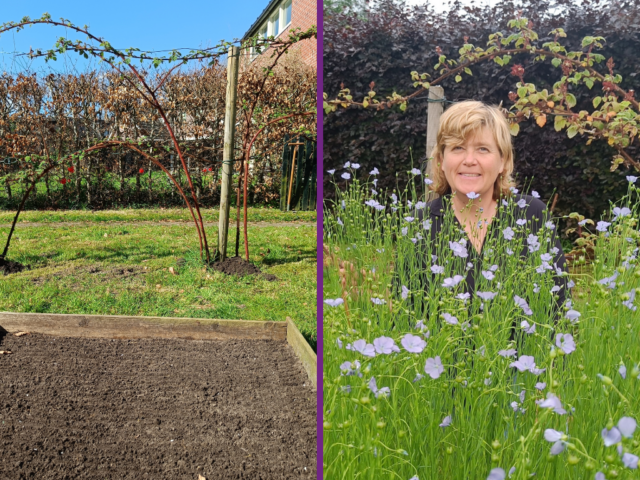 Jannetje maakt zelf textiel vanaf zaad: “ik maak grote systemen super ...
